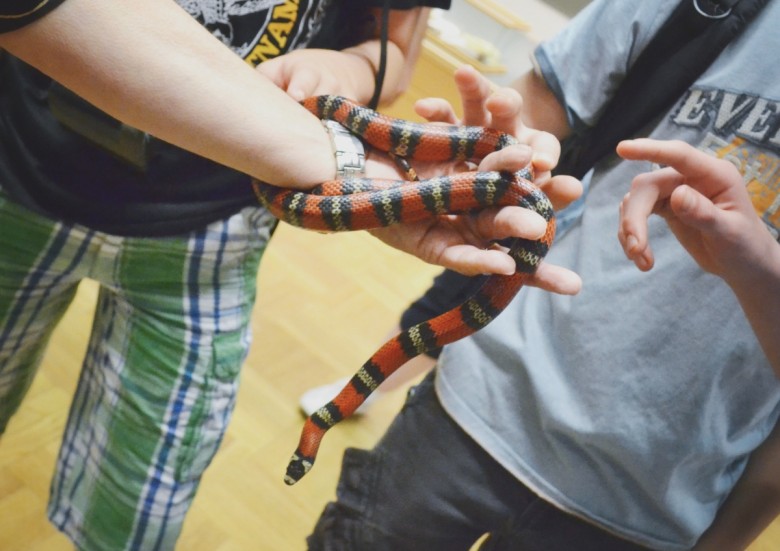 The ROM's Wildlife Photography Exhibit Is A Must-See - UrbanMoms